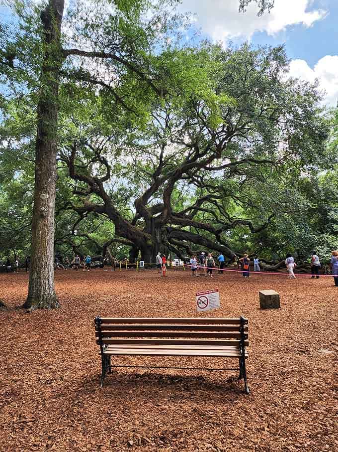 The perfect spot to contemplate how your problems seem smaller under 400-year-old shade.