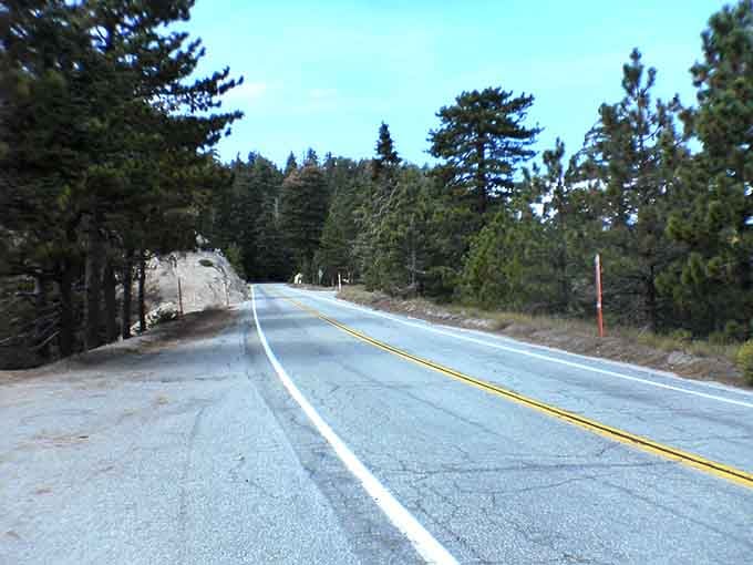 Pine-studded slopes rise majestically, transforming the landscape from desert scrub to alpine wonderland in minutes.