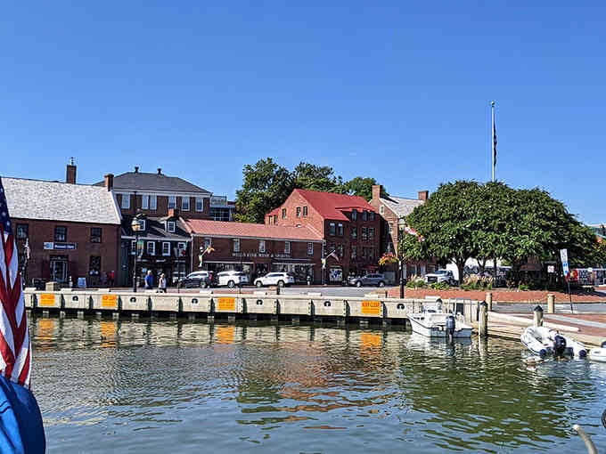 City Dock where sailboats gather like old friends catching up, and the waterfront views never get old.