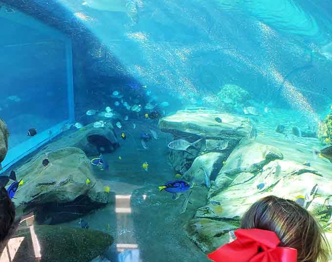An underwater world so vibrant, it makes Finding Nemo look like a documentary filmed in black and white.