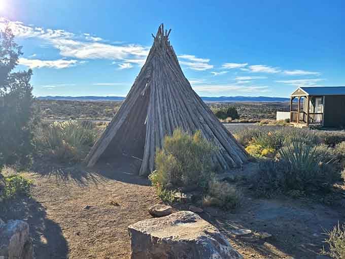 The Hidden Joshua Tree Preserve In Arizona That Feels Like Another Planet