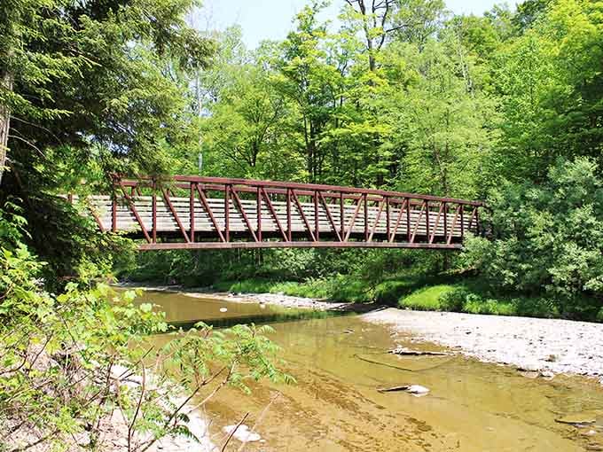 Cross this charming bridge and pretend you're in a nature documentary, minus the dramatic narrator and camera crew.