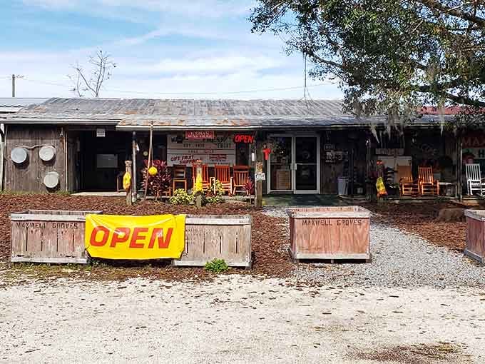 That "OPEN" sign means business at this weathered roadside stand where authentic Old Florida still thrives among the rocking chairs.
