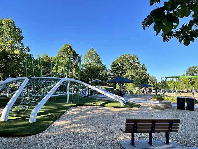 Climbing structures designed by people who remember that playgrounds should inspire joy, not just meet safety code minimums.