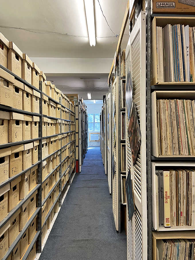 These narrow aisles stretch like canyons carved through mountains of music spanning every genre and era imaginable.