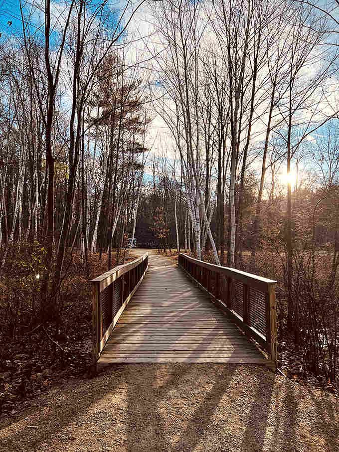 This wooden bridge leads you into another world, where your biggest worry is remembering which way you came.