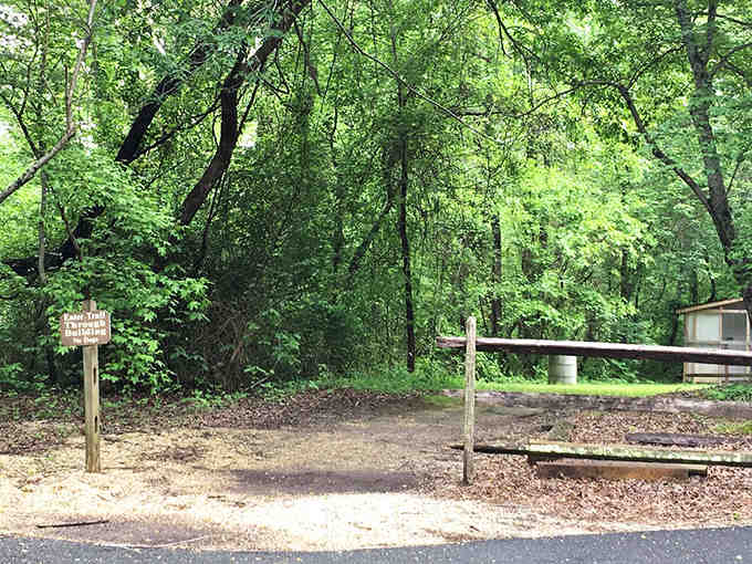 Your adventure begins here, where the pavement ends and the magic of an ancient ecosystem takes over.