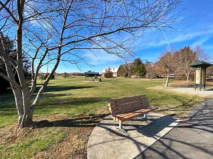 Sometimes the best seat in town is a simple bench where you can watch the world slow down.