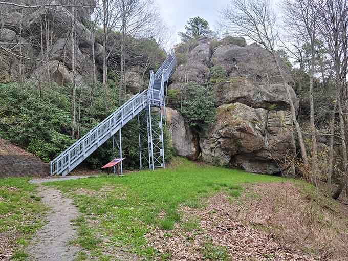 The base of those 183 steps, where your adventure begins and your fitness tracker starts getting really excited.