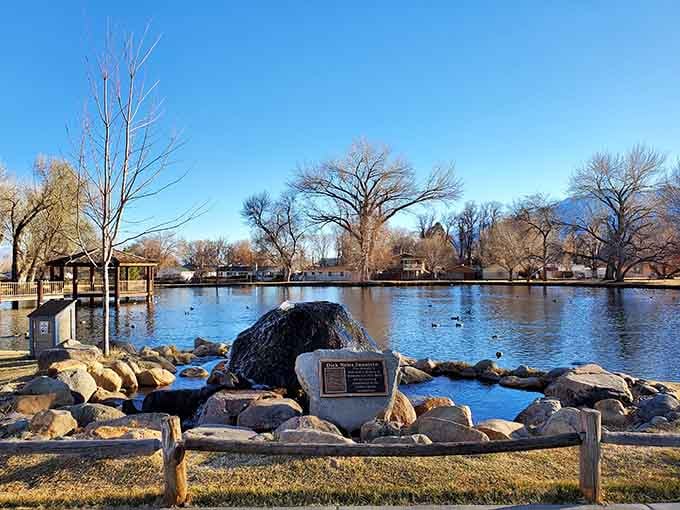 Bishop City Park offers peaceful pond views where ducks live better than most San Francisco renters do these days.