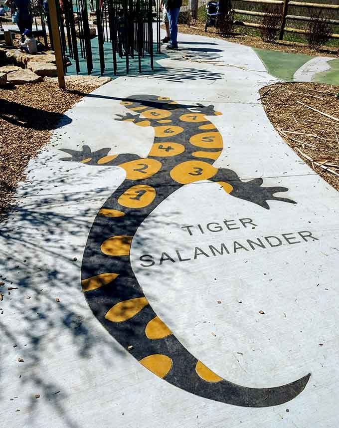 Even the walkways teach something here, turning a simple path into a lesson about native Illinois wildlife.
