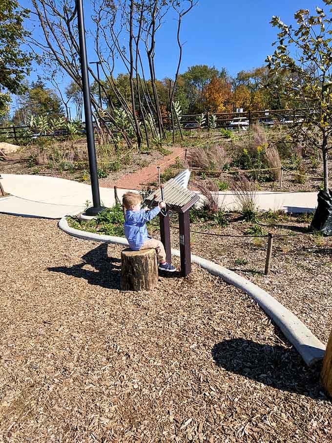 Musical exploration meets nature when tree stumps become instruments, teaching rhythm while building coordination and pure joy.