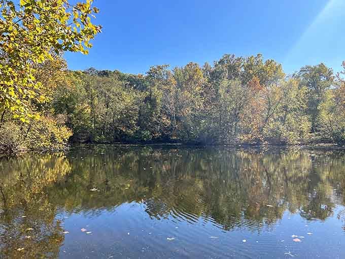 When the trees decide to show off their mirror image, you stop walking and just stare for a while.