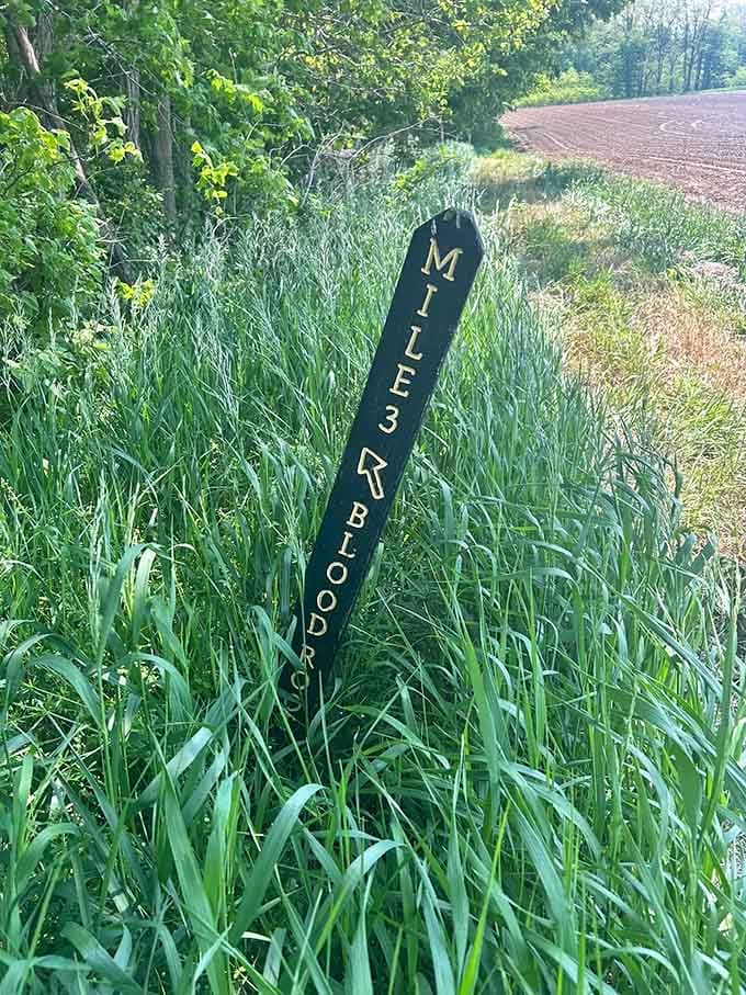 Mile markers keep you on track, because getting lost in the woods is only romantic in fairy tales and Nicholas Sparks novels.