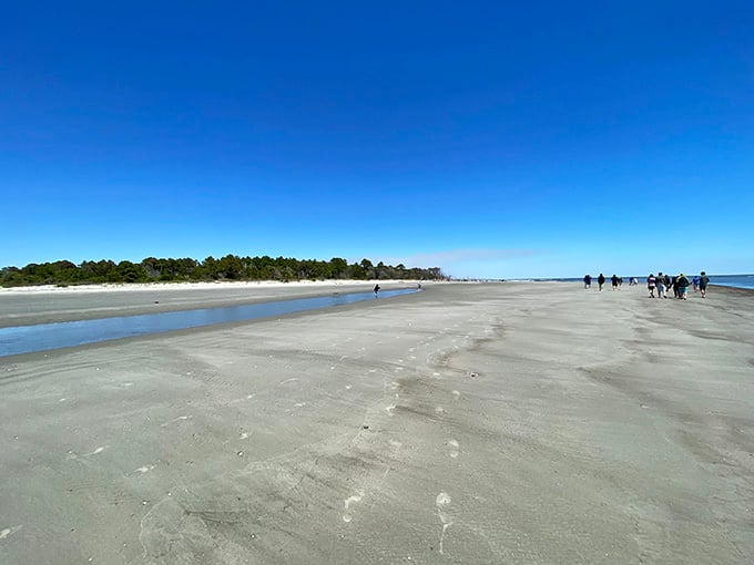 Miles of pristine sand stretch before you, dotted with wooden sentinels standing guard over their domain.