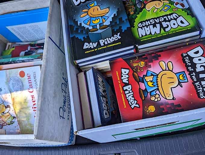 Dog Man books proving that kids' literature today is infinitely more creative than the "See Spot Run" nonsense we grew up with.