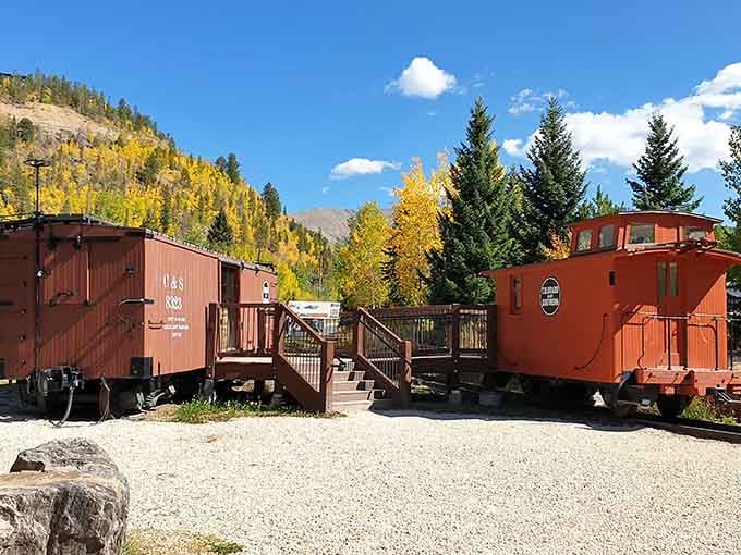 Autumn aspens frame vintage railcars perfectly, proving Mother Nature appreciates good composition as much as any photographer does.