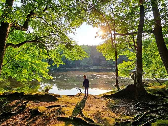 Golden hour through the trees creates the kind of moment that makes kids forget their phones exist, temporarily.