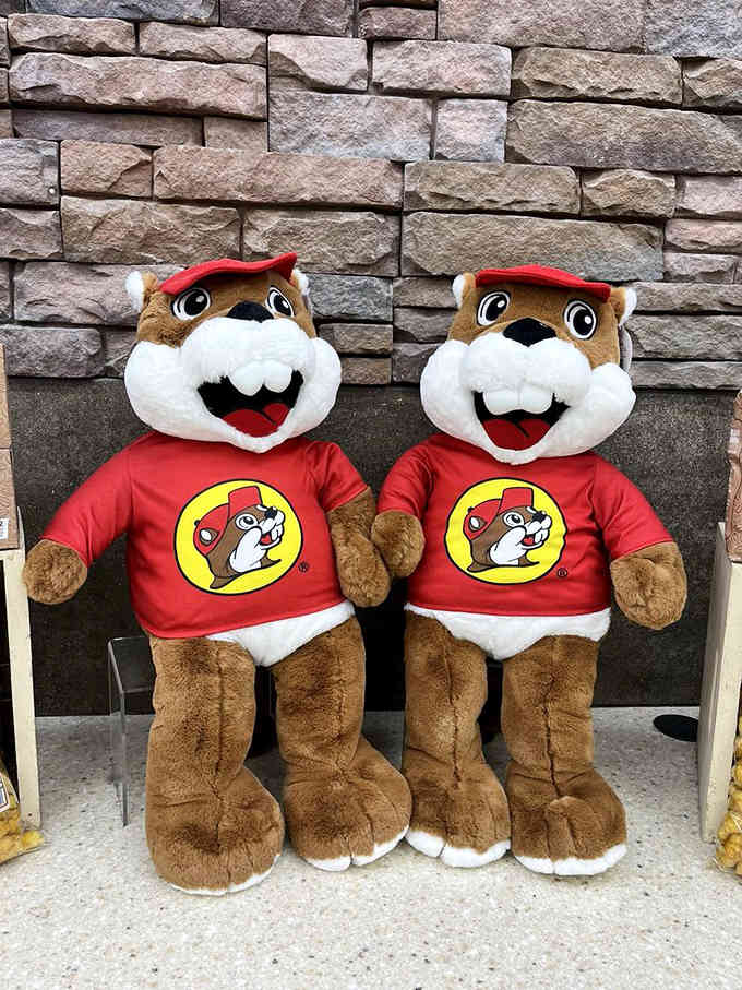 Life-sized plush beavers ready to become your new road trip companions or the world's most unexpected house guests.