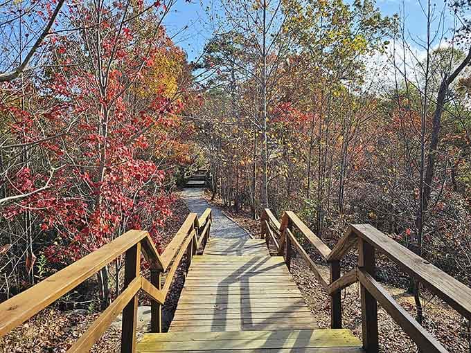 This wooden boardwalk leads somewhere your GPS can't follow, and that's exactly the point.