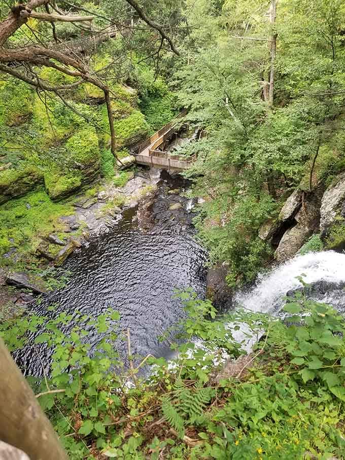 Those wooden bridges winding through the gorge prove adventure doesn't require a passport, just good walking shoes.