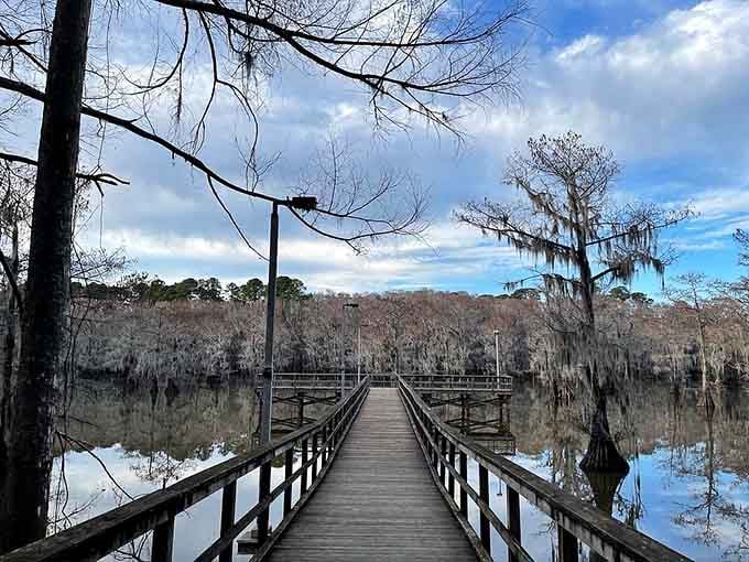 This boardwalk stretches into the cypress forest, inviting you to walk where water meets wonder and time stands still.