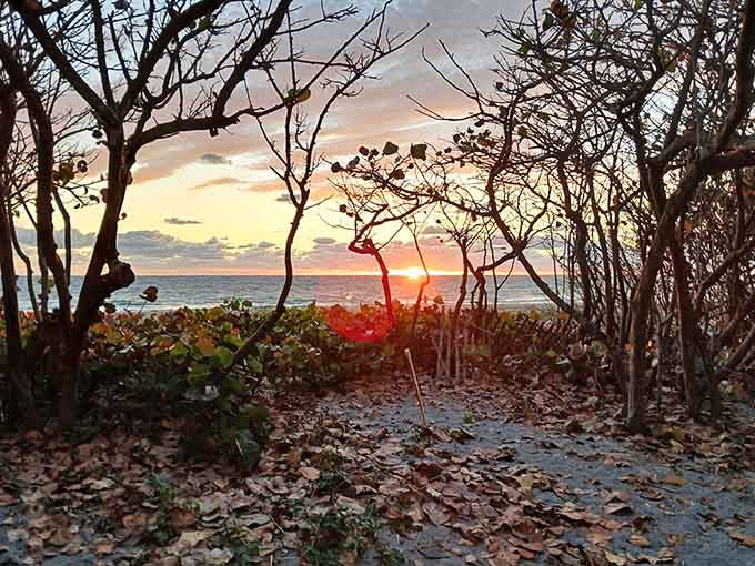 Sunsets like this make you understand why people write poetry and buy timeshares.