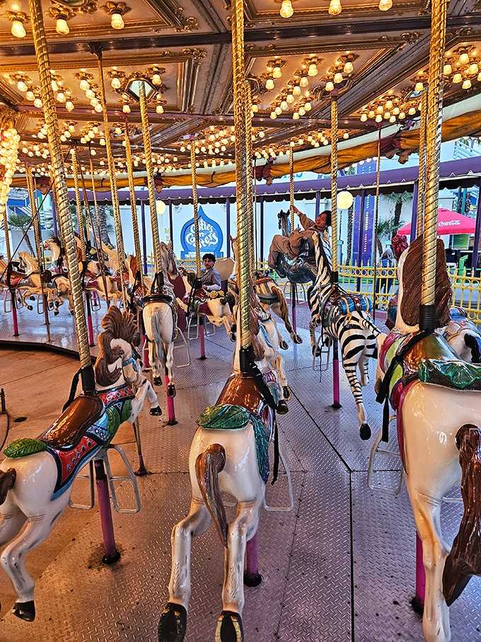 Hand-painted carousel horses that have carried generations of dreamers around and around under twinkling lights and endless smiles.