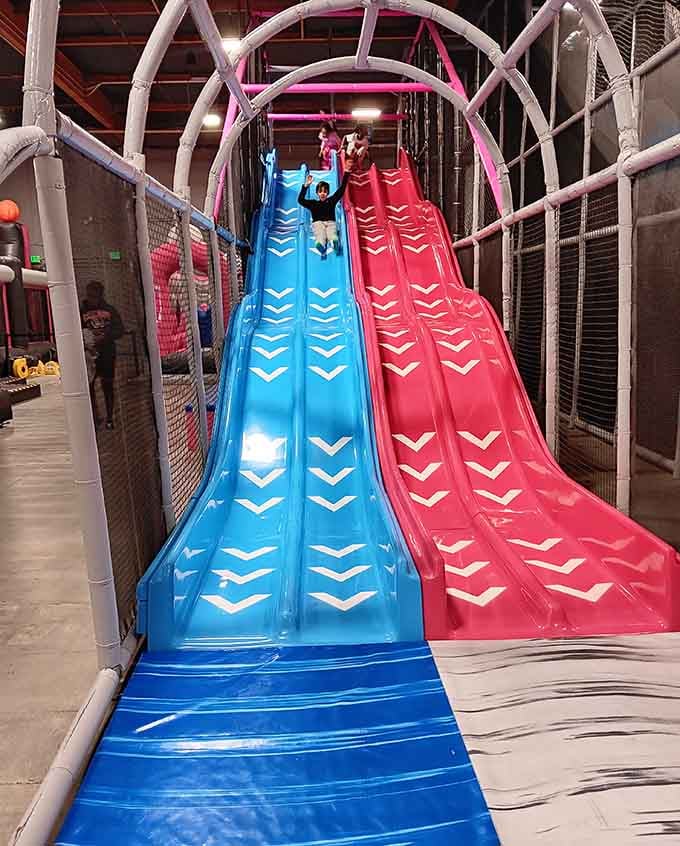 Racing down these vibrant slides is basically the adult version of pure, unfiltered joy on wheels.