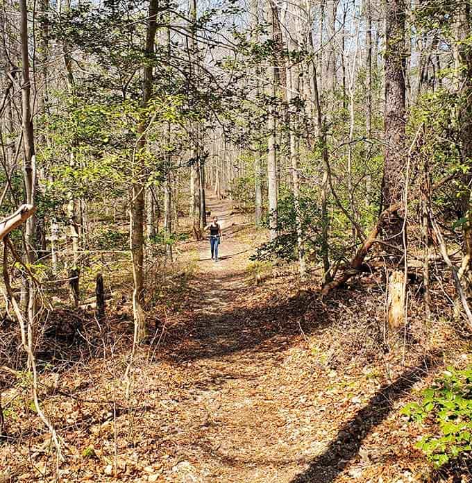 Leaf-carpeted trails beckon like nature's red carpet, minus the paparazzi and uncomfortable shoes.