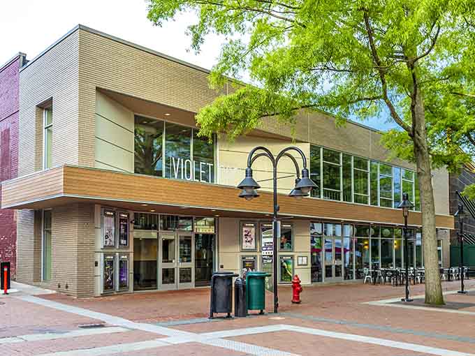 The Violet Crown Cinema brings serious film culture to the Downtown Mall, because great movies deserve a great setting.