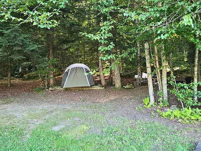 Your campsite neighbors are trees, not people blasting classic rock at 2 AM. Paradise confirmed.