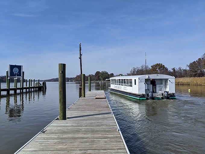 This floating tour vessel promises canal views that'll make you forget your phone exists for a blissful hour.