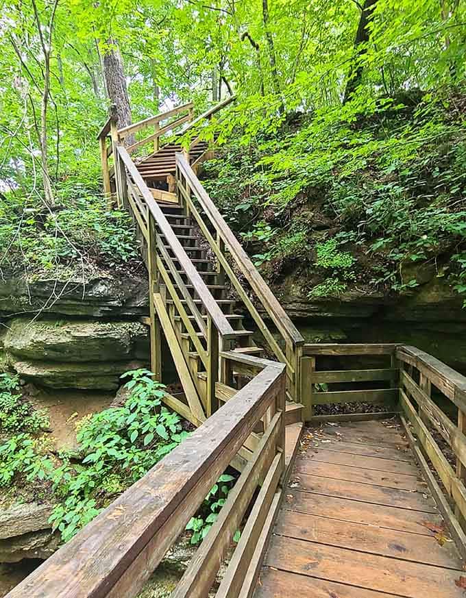These wooden stairs descend into adventure, though your knees might have a different opinion on the return trip.