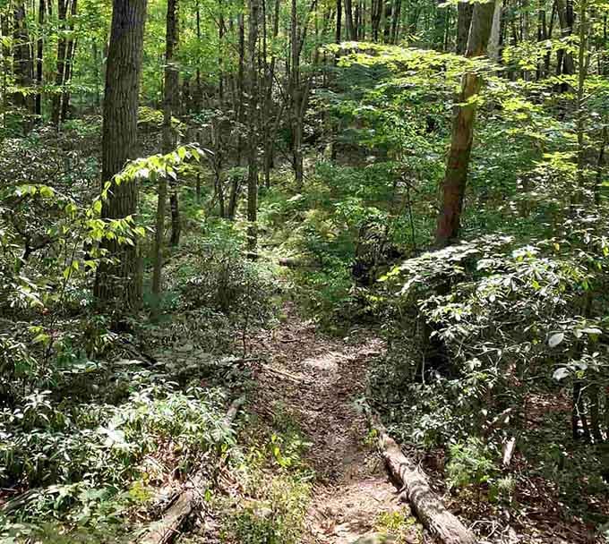 The trail ahead whispers promises of discovery, assuming you can handle a little dirt on your shoes.