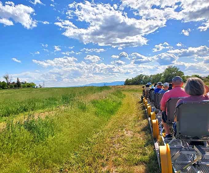 Nothing but open sky, waving grass, and the gentle rhythm of wheels on rails ahead.