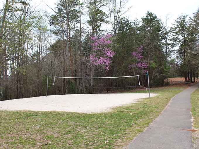 Nothing says "I've made it" quite like having your own volleyball court on a private island.