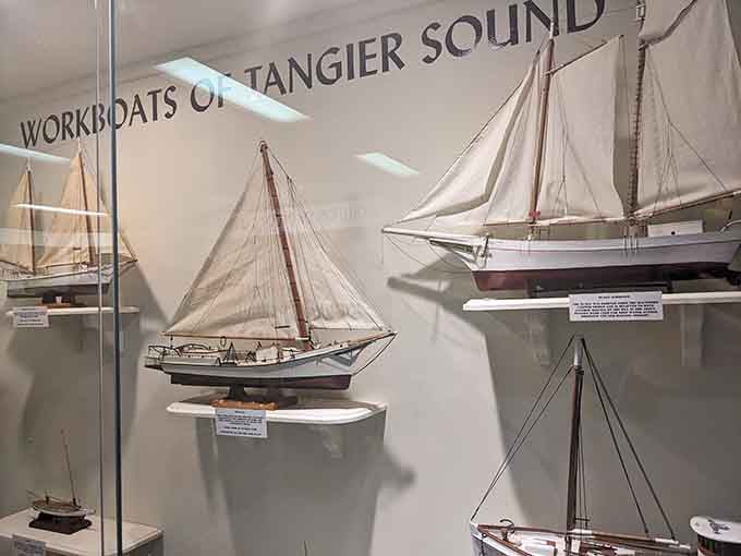 These model workboats tell the story of generations who've made their living from Tangier Sound's generous waters.