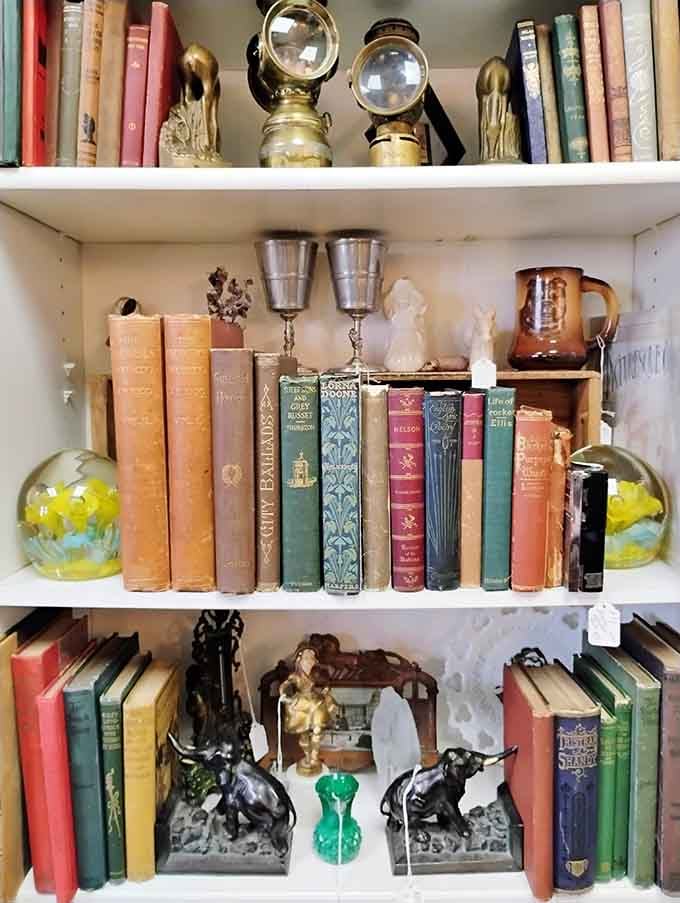 These weathered spines hold more stories than their pages ever could, each volume a portal to someone's cherished library.