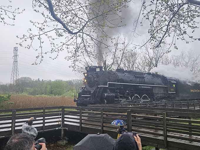 Steam billowing like a dragon's breath, this vintage locomotive still knows how to make an entrance.