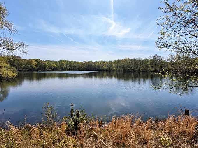 The peaceful lake offers a quiet escape when you need a break from all that floral magnificence.