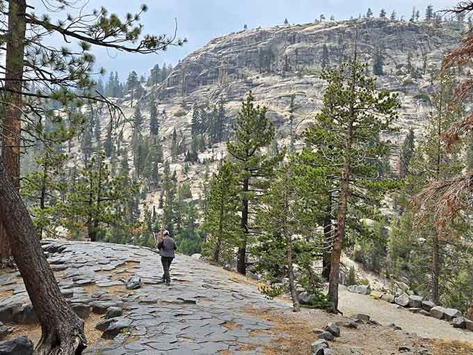 Walking atop this glacially-polished hexagonal surface feels like stepping onto nature's most impressive tile floor, installed 100,000 years ago.