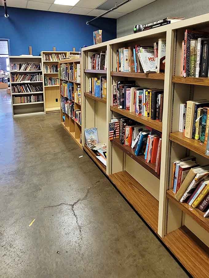 Books organized better than most people's lives, waiting patiently for readers who appreciate a good spine and story.