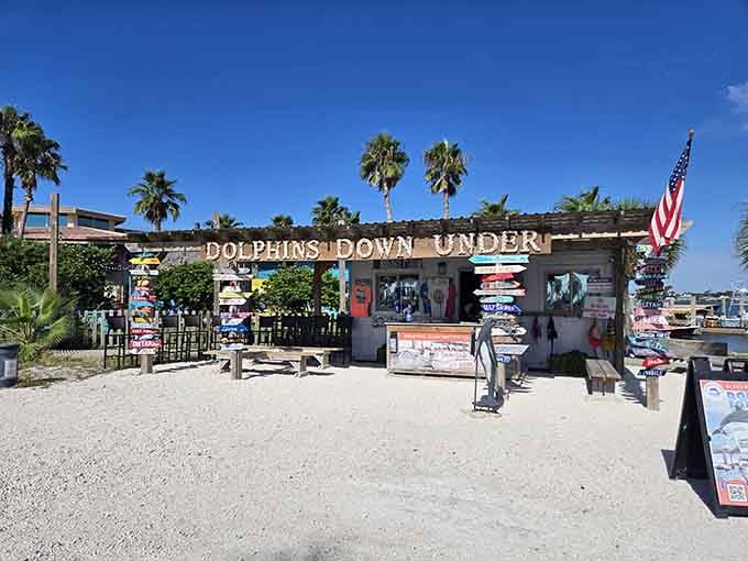 Your adventure begins at this charming waterfront spot where palm trees sway and dolphin dreams come true.