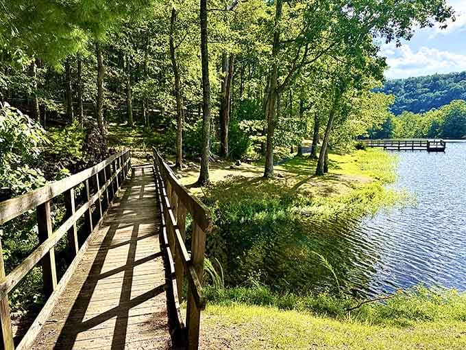 This wooden boardwalk along the lake makes you feel like you're in a nature documentary, minus the dramatic narration.