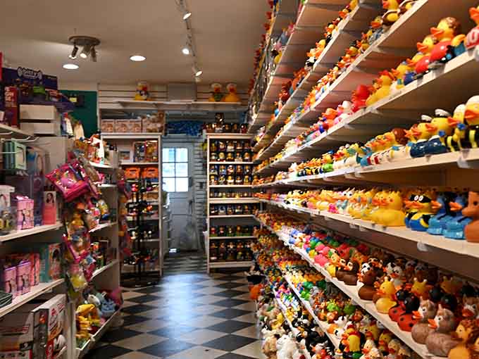 Inside, shelves stretch toward the ceiling like a rubber duck library where every book squeaks when you open it.