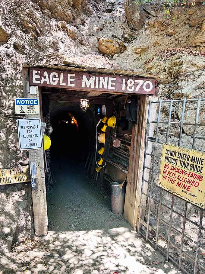 Hard hats hanging at the ready, because even historical tourism requires acknowledging that rocks are harder than heads.