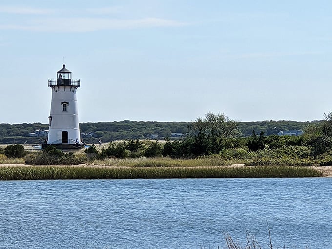 The Edgartown Harbor Lighthouse stands sentinel like it's been posing for postcards since before postcards were cool.