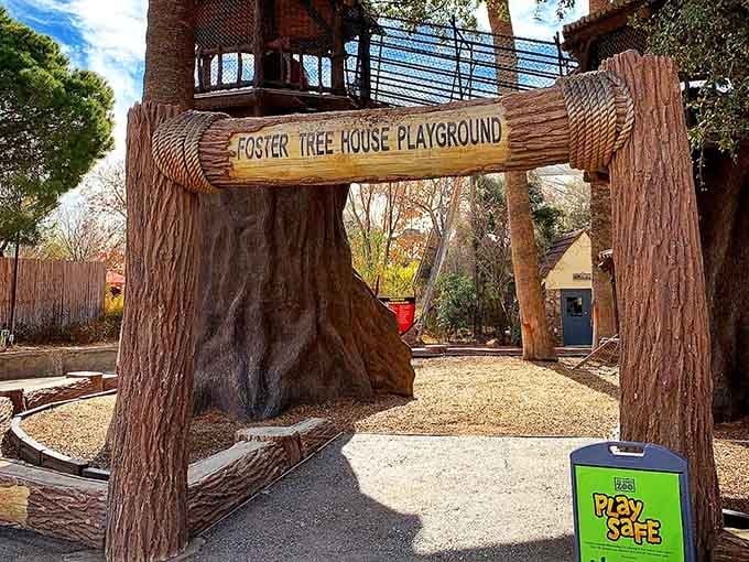 Kids climb through adventure at the El Paso Zoo without climbing your budget, because family fun shouldn't cost a fortune.