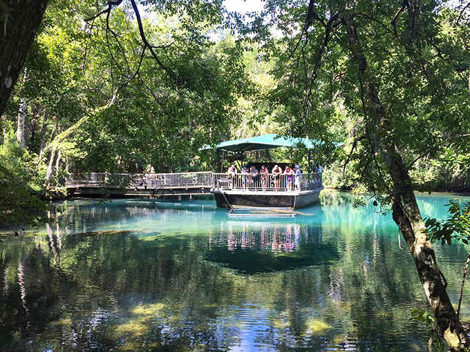 That impossibly blue water isn't Photoshop trickery, it's just Florida springs showing off their natural superpowers.